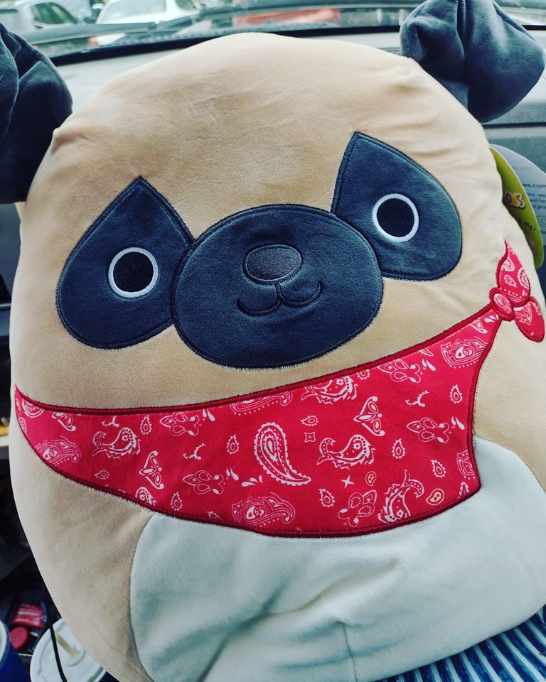 Pug Squishmallows At Costco Now In Store And Online CostContessa Pug Squishmallows At Costco Now In Store And Online CostContessa