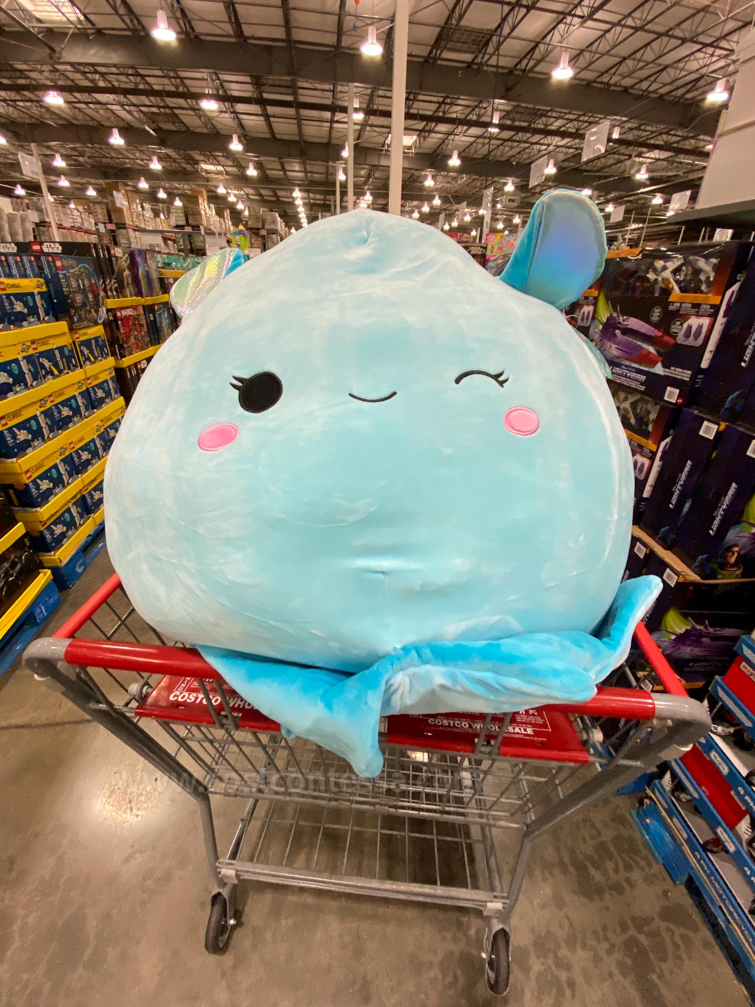 3 New Squishmallows At Costco CostContessa